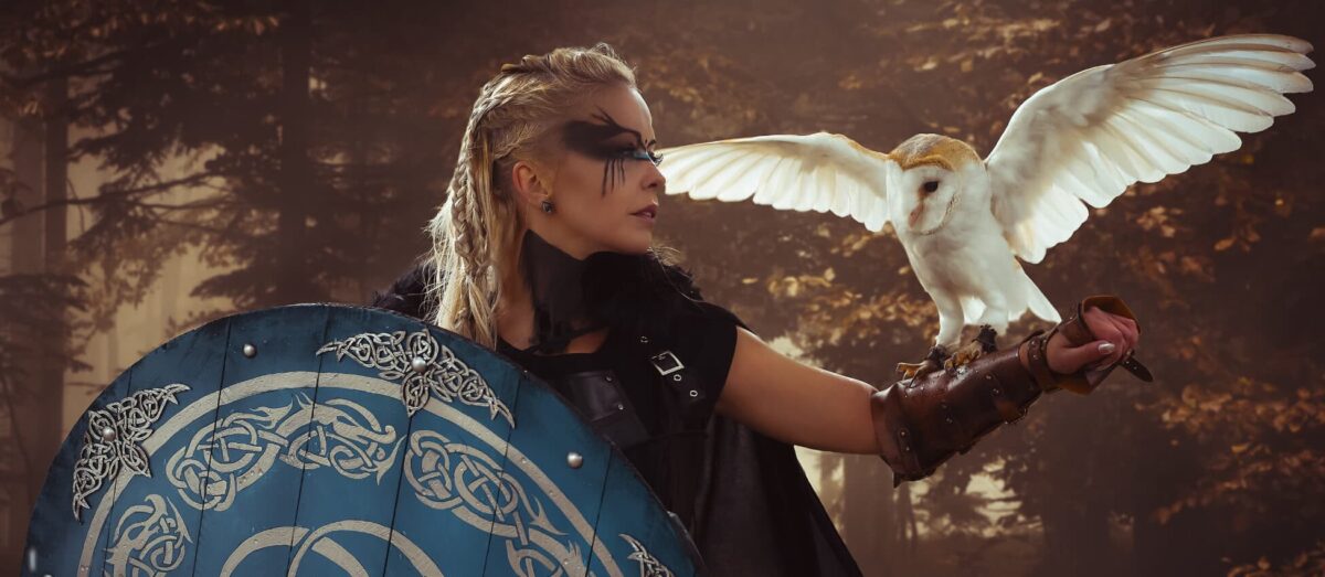 Das Heim der nordisch und germanischen Mythologie > Viking Sons